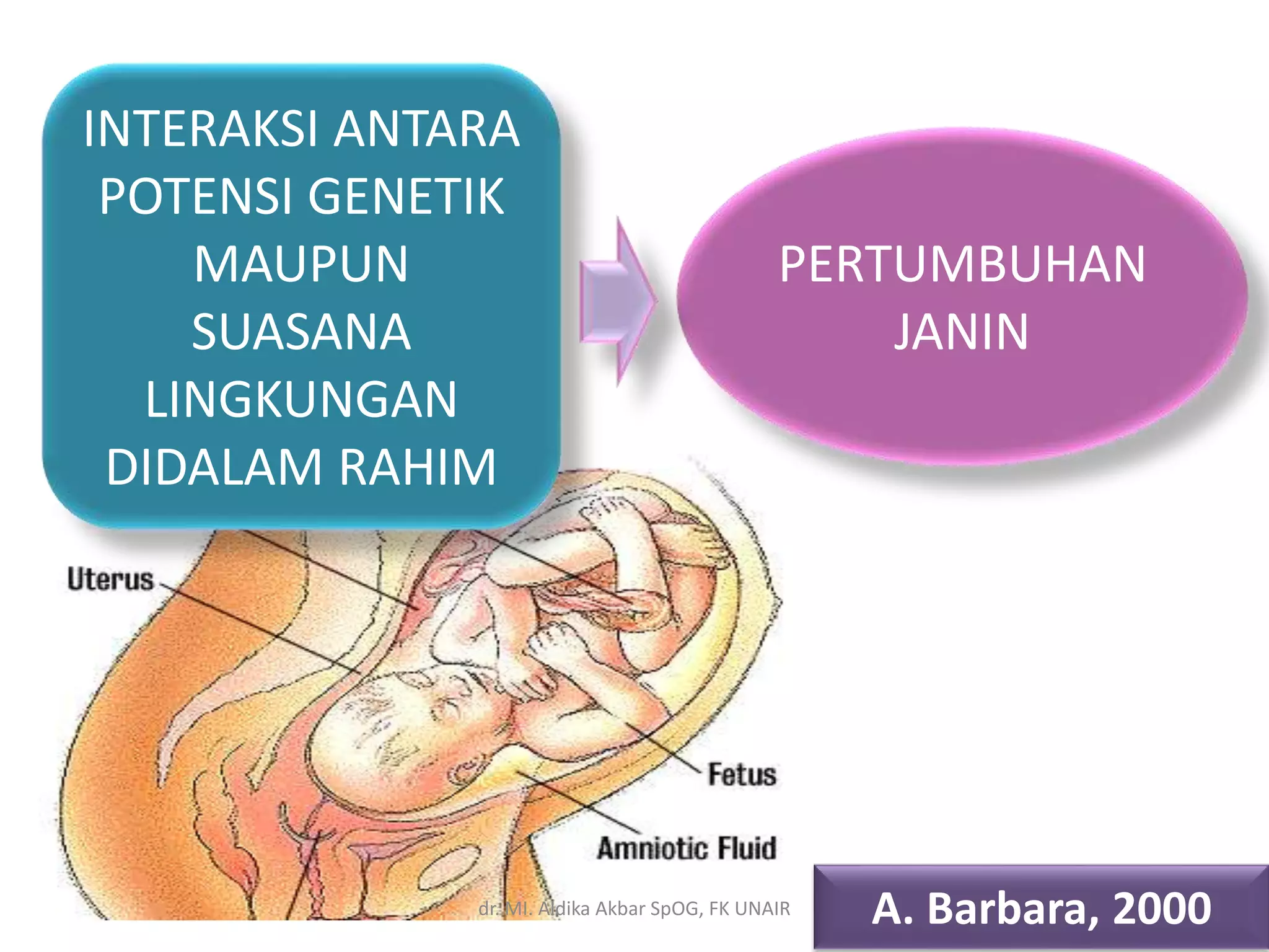 Nutrisi ibu dalam kehamilan dan tumbuh kembang janin | PPTX