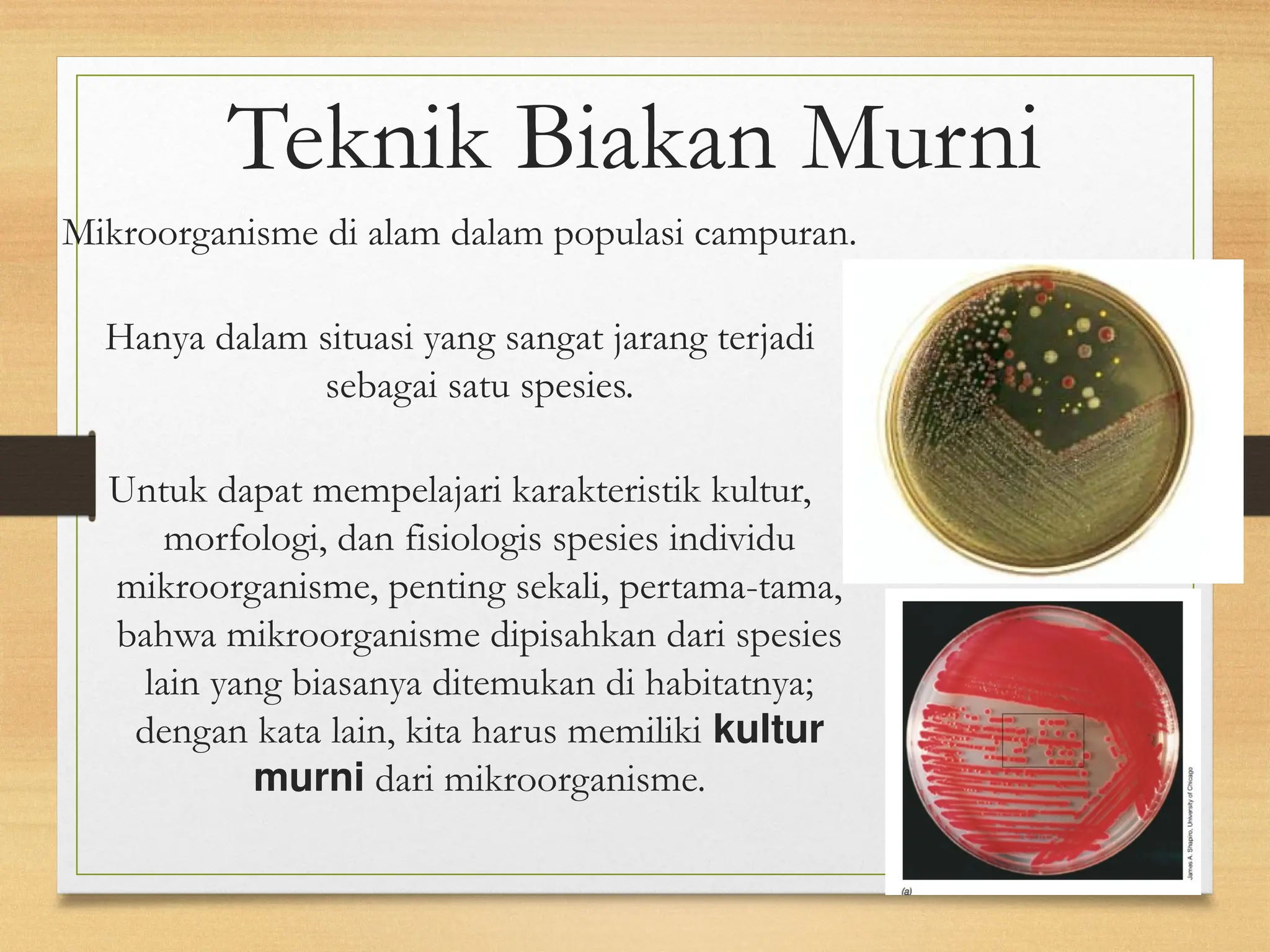 12 Nutrisi Mikrobia berdasarkan tujuannya | PPT