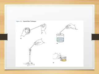 12 Nutrisi Mikrobia berdasarkan tujuannya | PPT