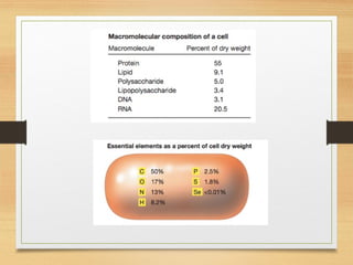 12 Nutrisi Mikrobia berdasarkan tujuannya | PPT