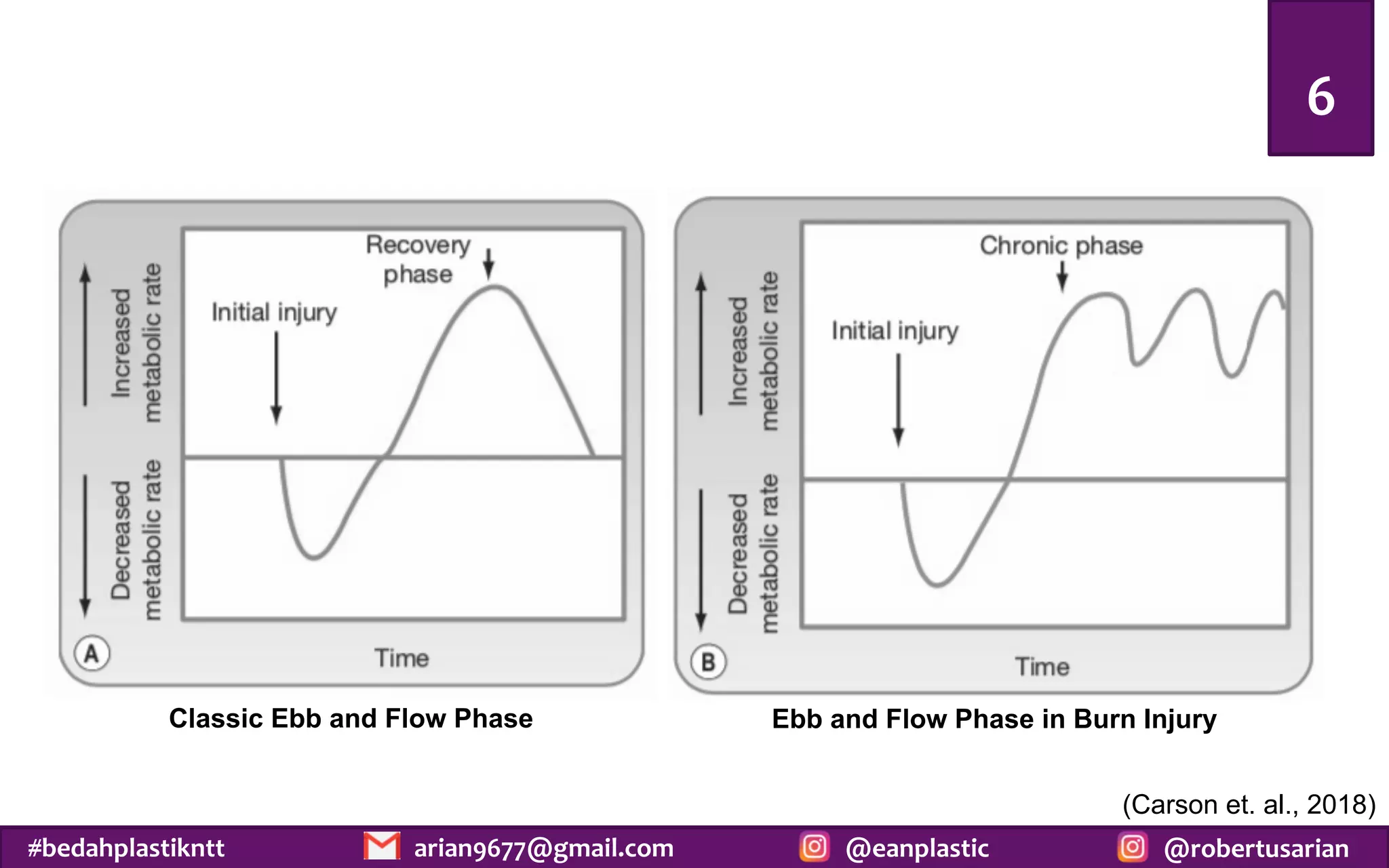 Nutrition in Burns: Role of Early Feeding | PDF