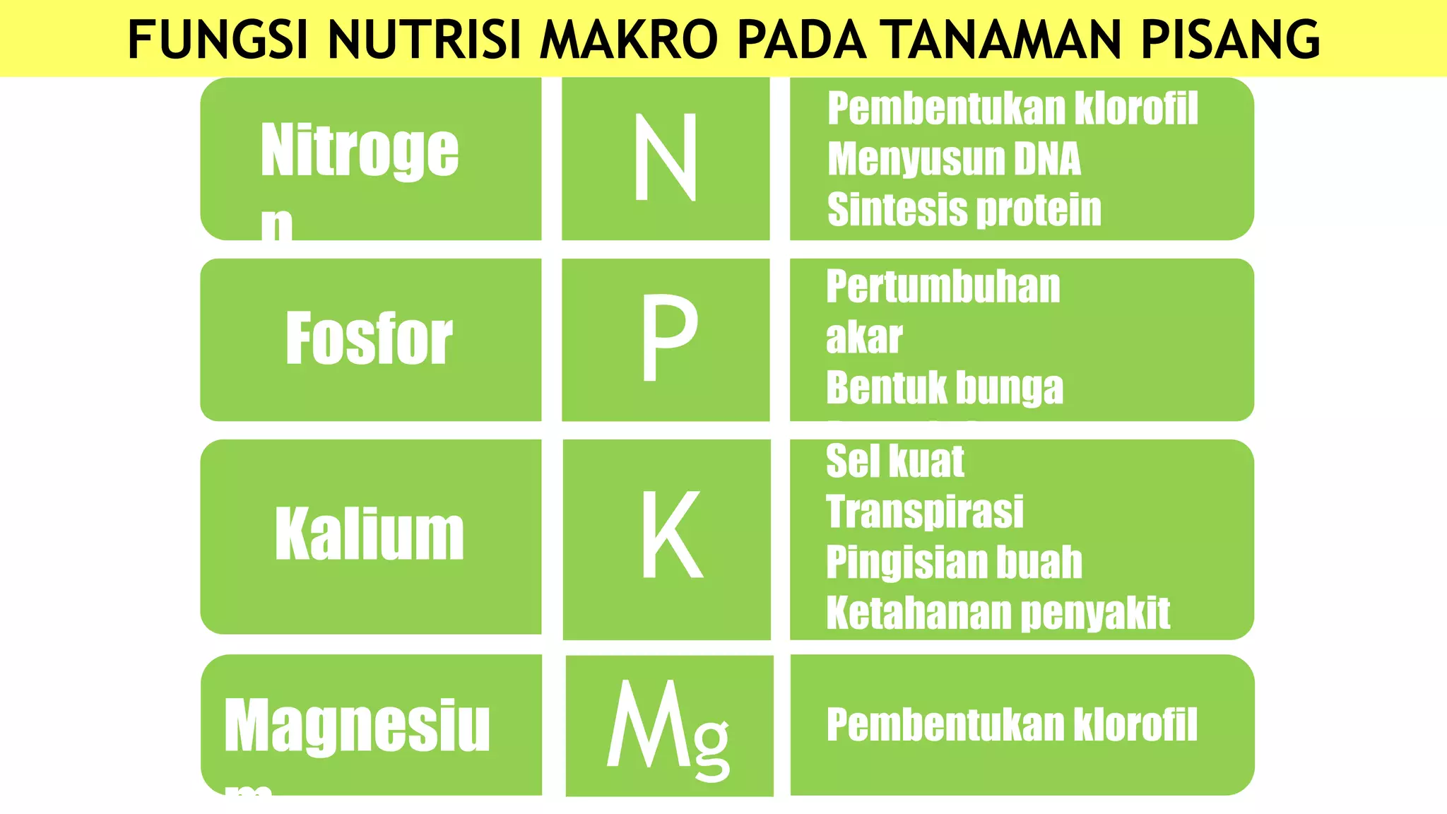Nutrisi pada Pisang | PPTX
