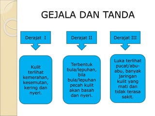 Nutrisi Stres Metabolik Pada Luka Bakar.ppt