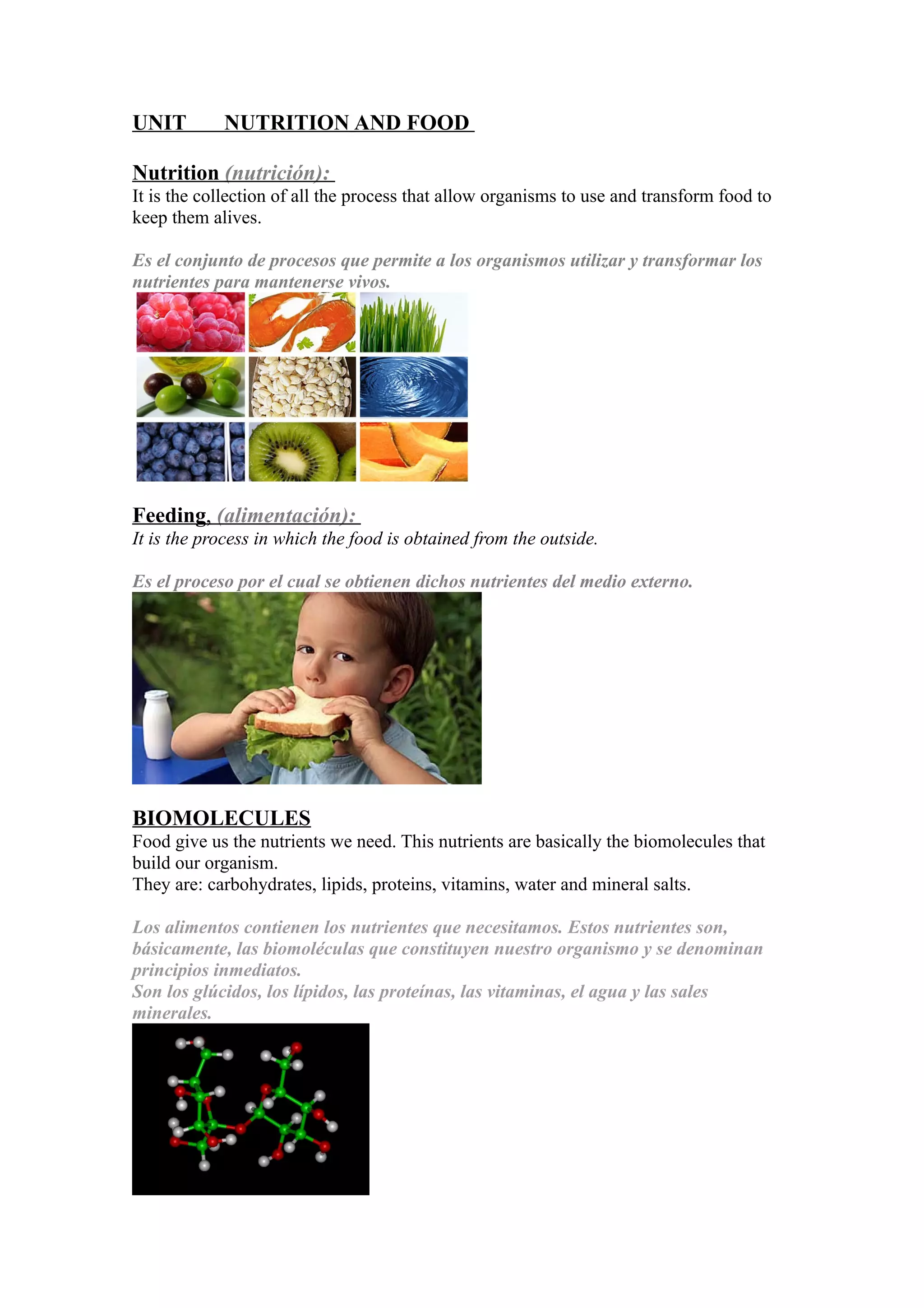 Nutrition | PDF