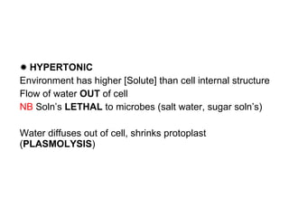 Nutrition | PPT | Nutrition | Healthy Living
