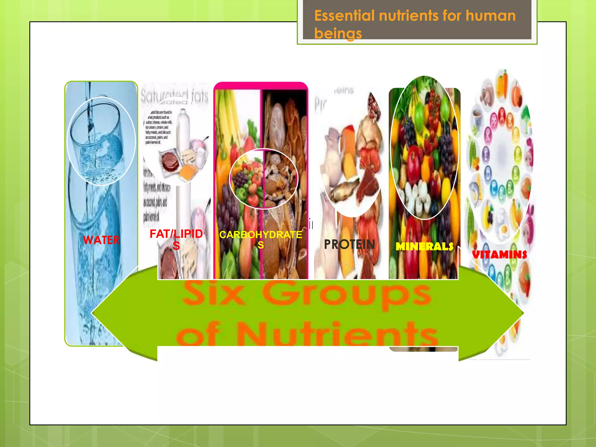Nutrition | PPTX