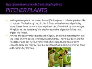 heterotrotropic nutrition | PPTX