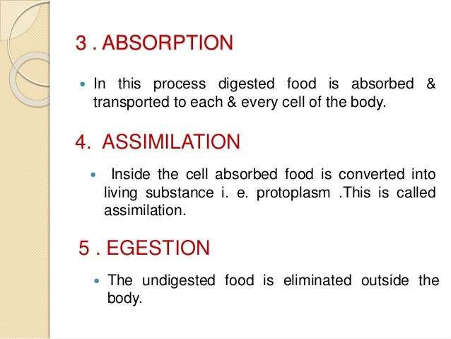Foods that absorb water in body - qustpv