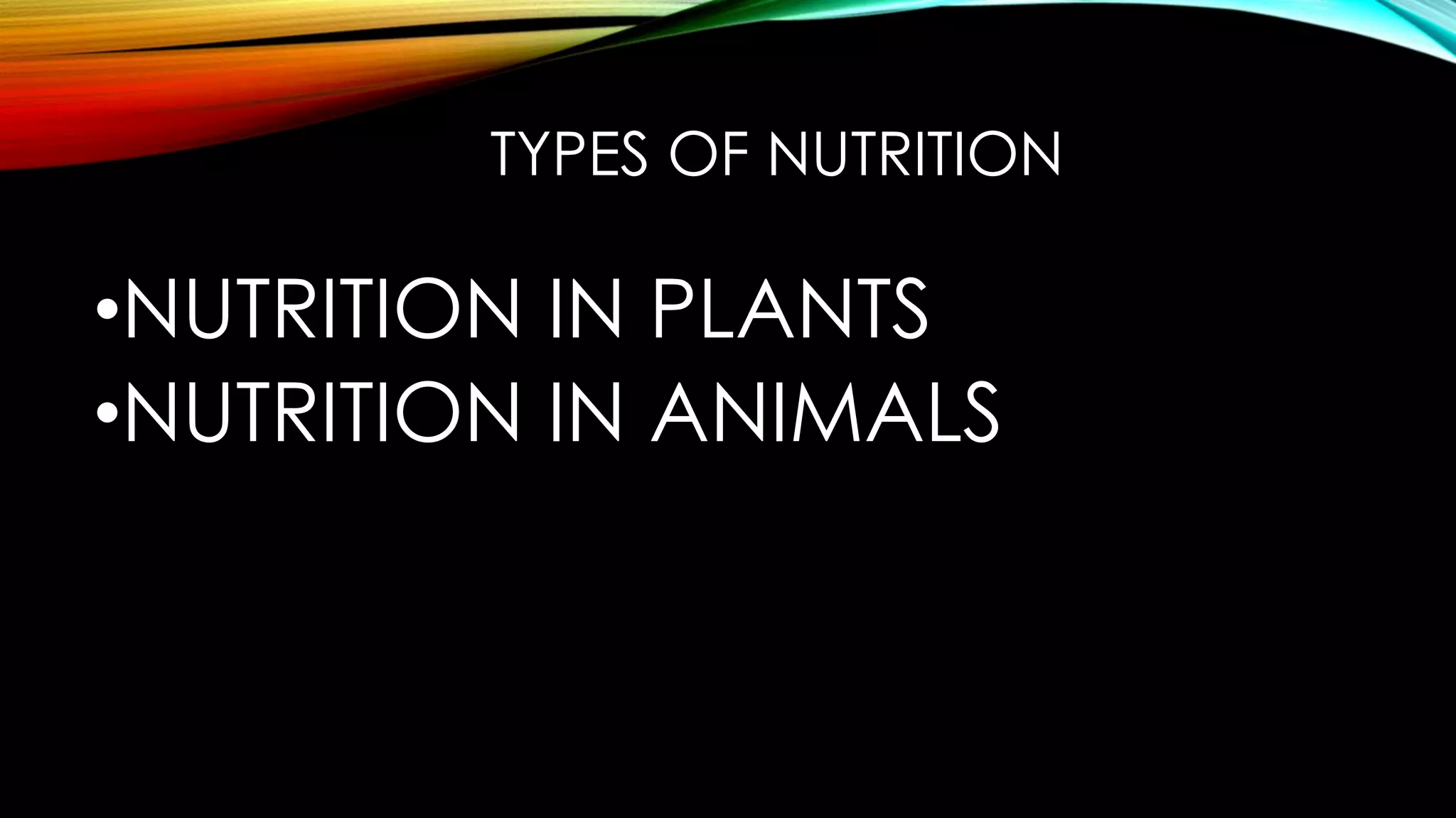 Nutrition in Plants and Animals | PPTX