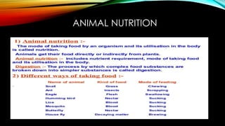Nutrition in Plants and Animals | PPTX