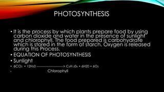 Nutrition in Plants and Animals | PPTX