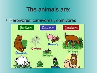Animals Nutrition | PPT