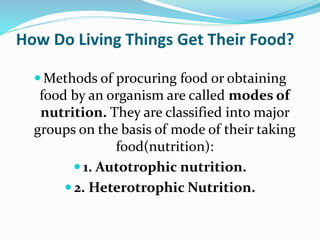Nutrition | PPTX