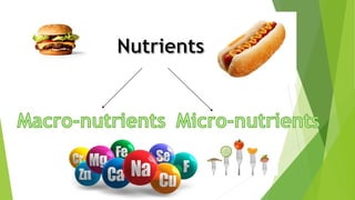 Nutrition | PPTX