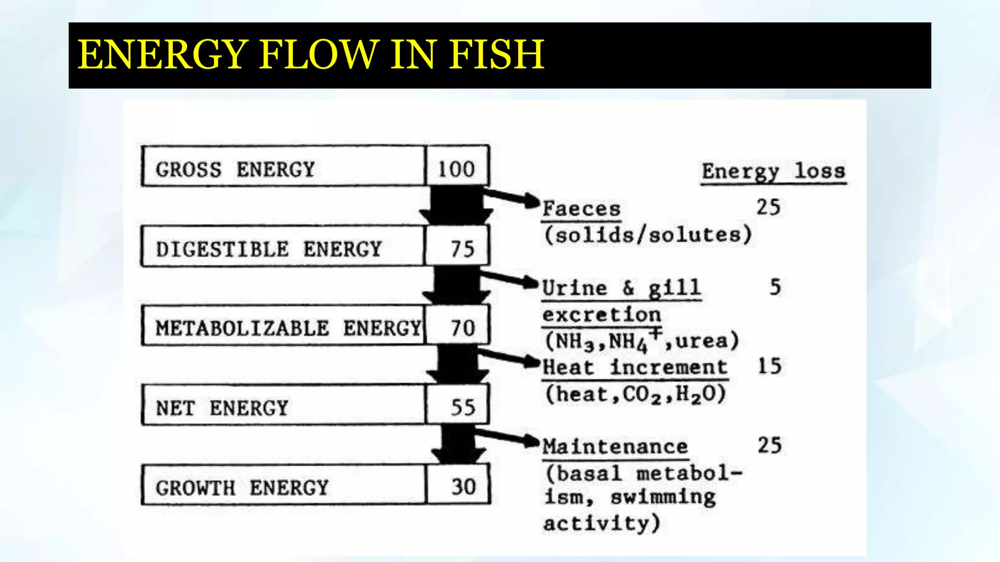 Digestive physiology of herbivorous fish | PPTX
