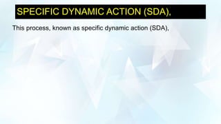 Digestive physiology of herbivorous fish | PPTX