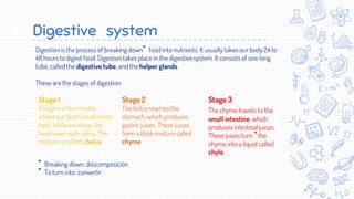 Nutrition | PPTX | Lung and Respiratory Health | Diseases and Conditions
