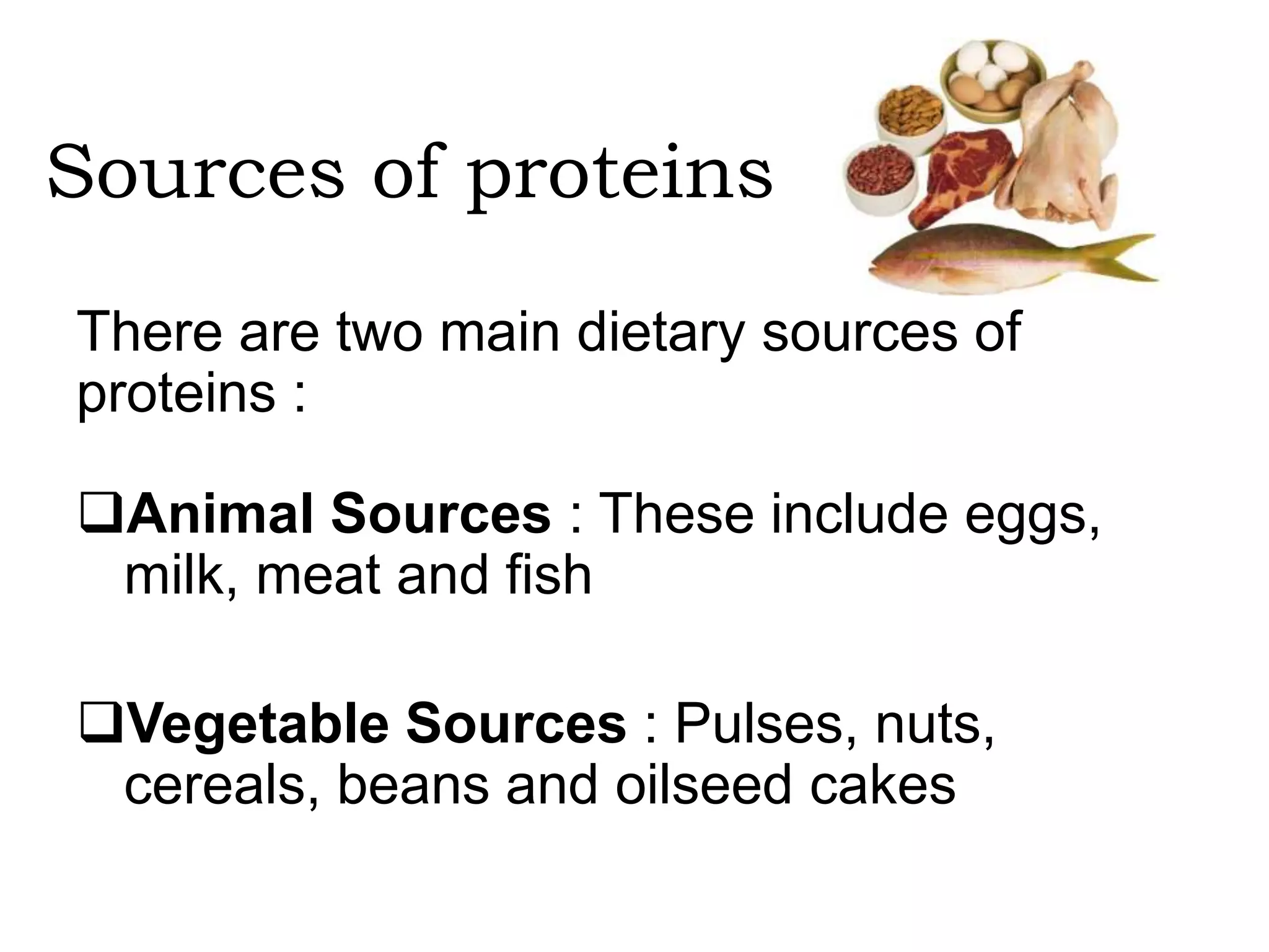 Nutrition | PPTX