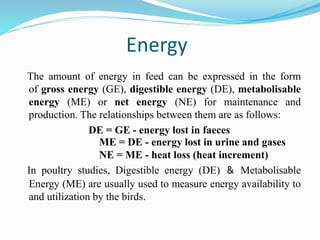 Nutrition for commercial broiler and layer production | PPTX