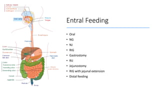 Surgical Nutrition | PPTX