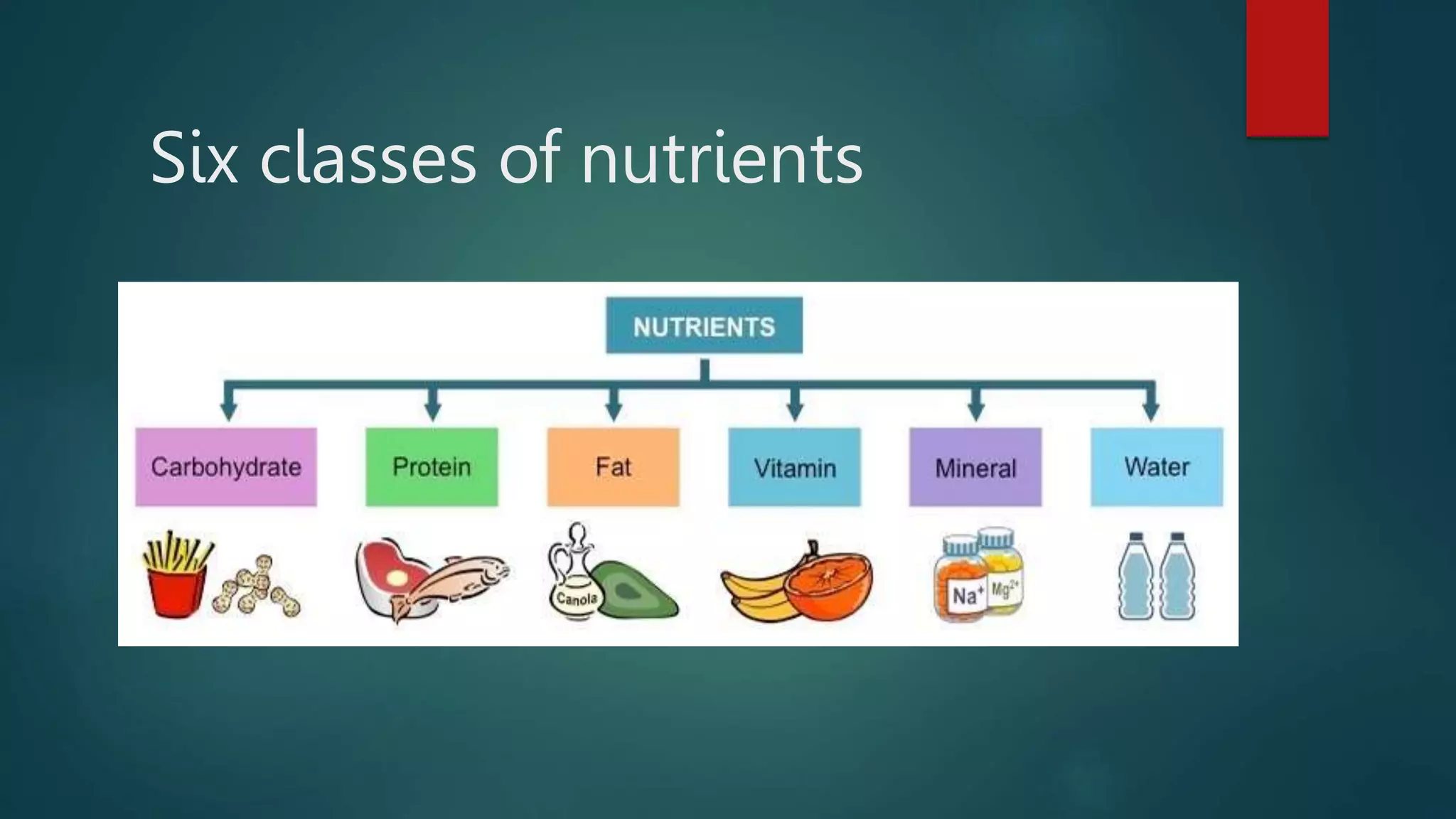 nutrition-191209130448.pptx