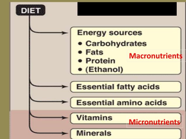Nutrition Introduction, Balanced Diet, Calorie, Caloric Value, Energy ...
