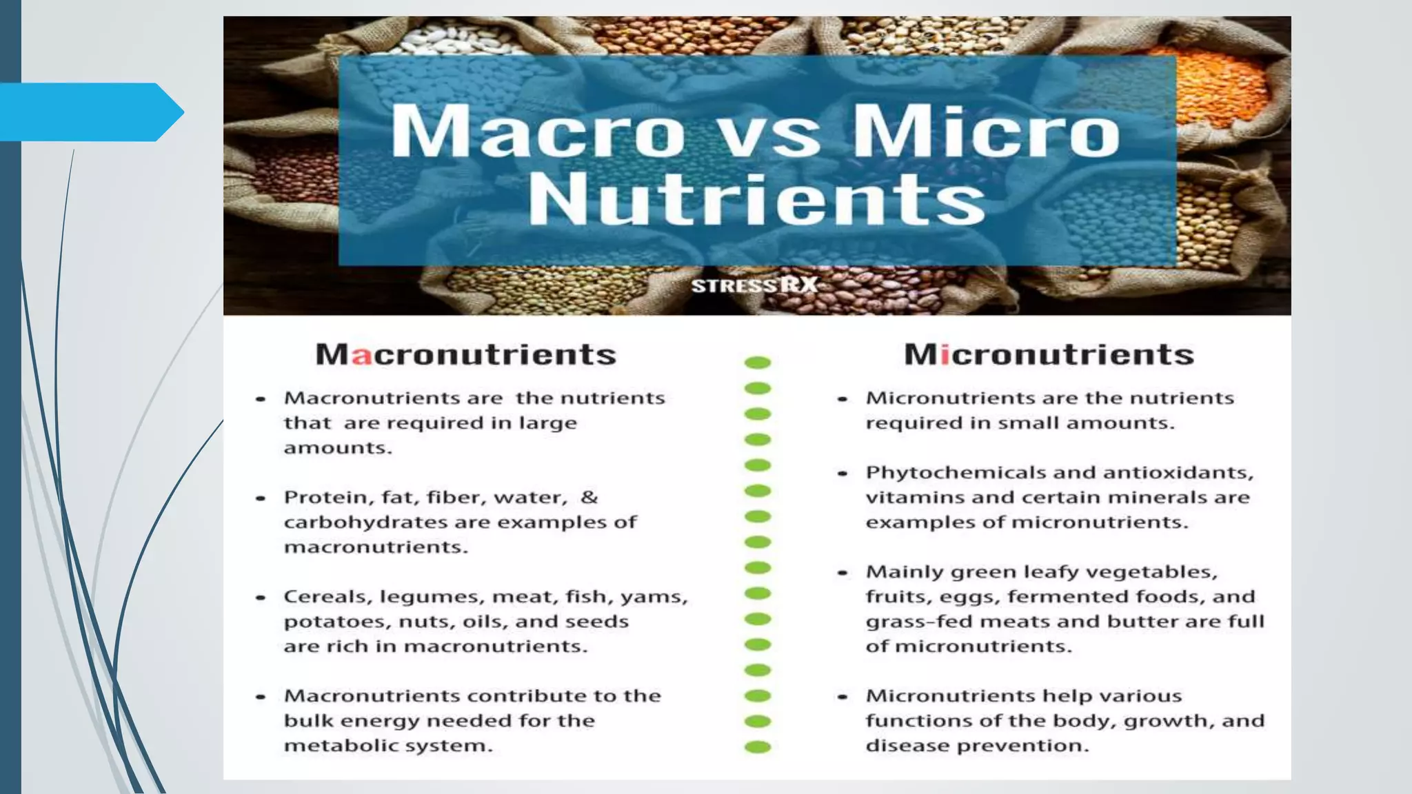 Nutrition, Carbohydrates, Proteins, Fats, Vitamins and Minerals | PPTX