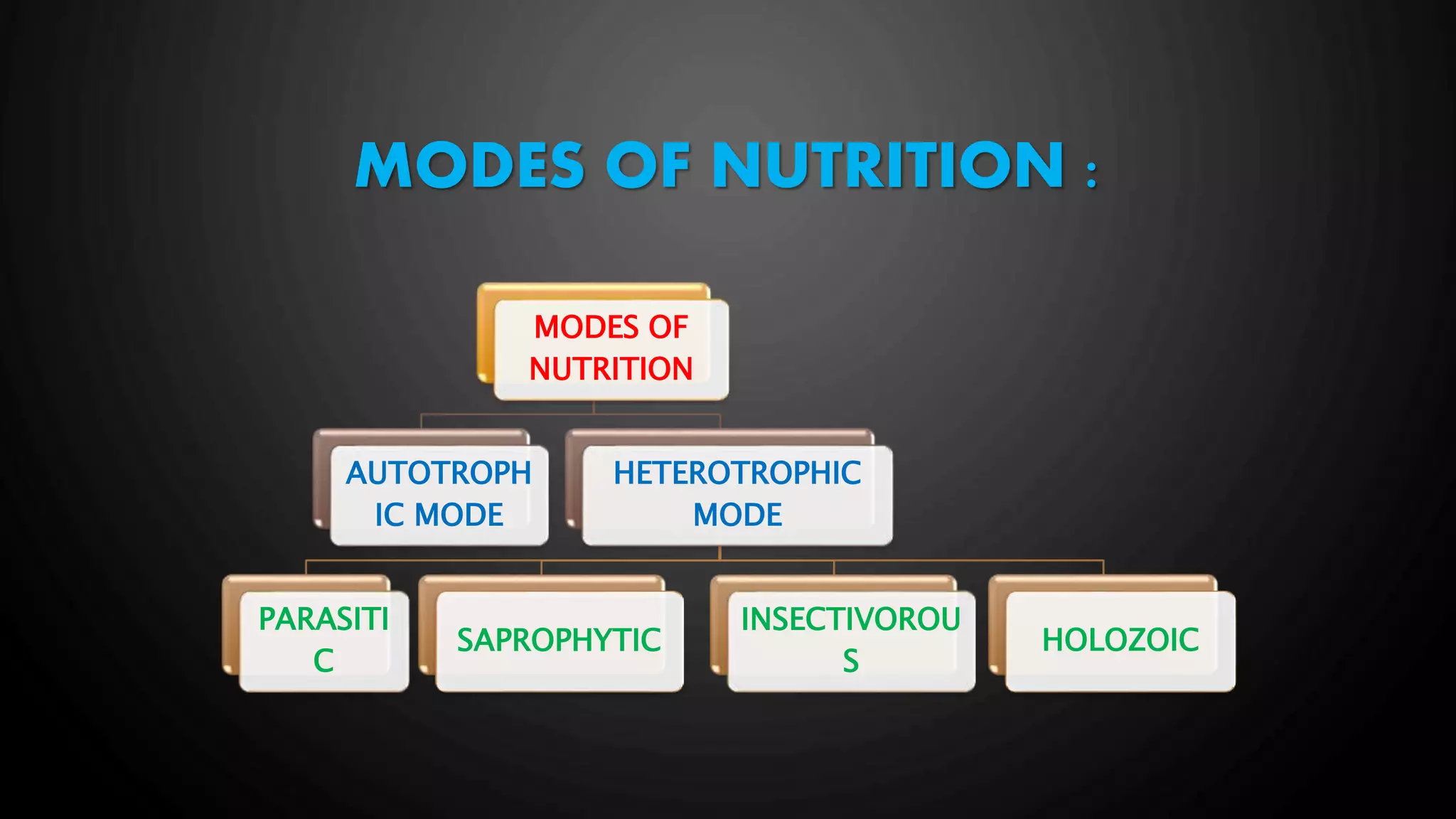 Modes of Nutrition | PPTX