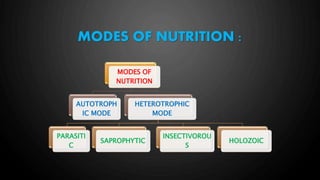 Modes of Nutrition | PPTX