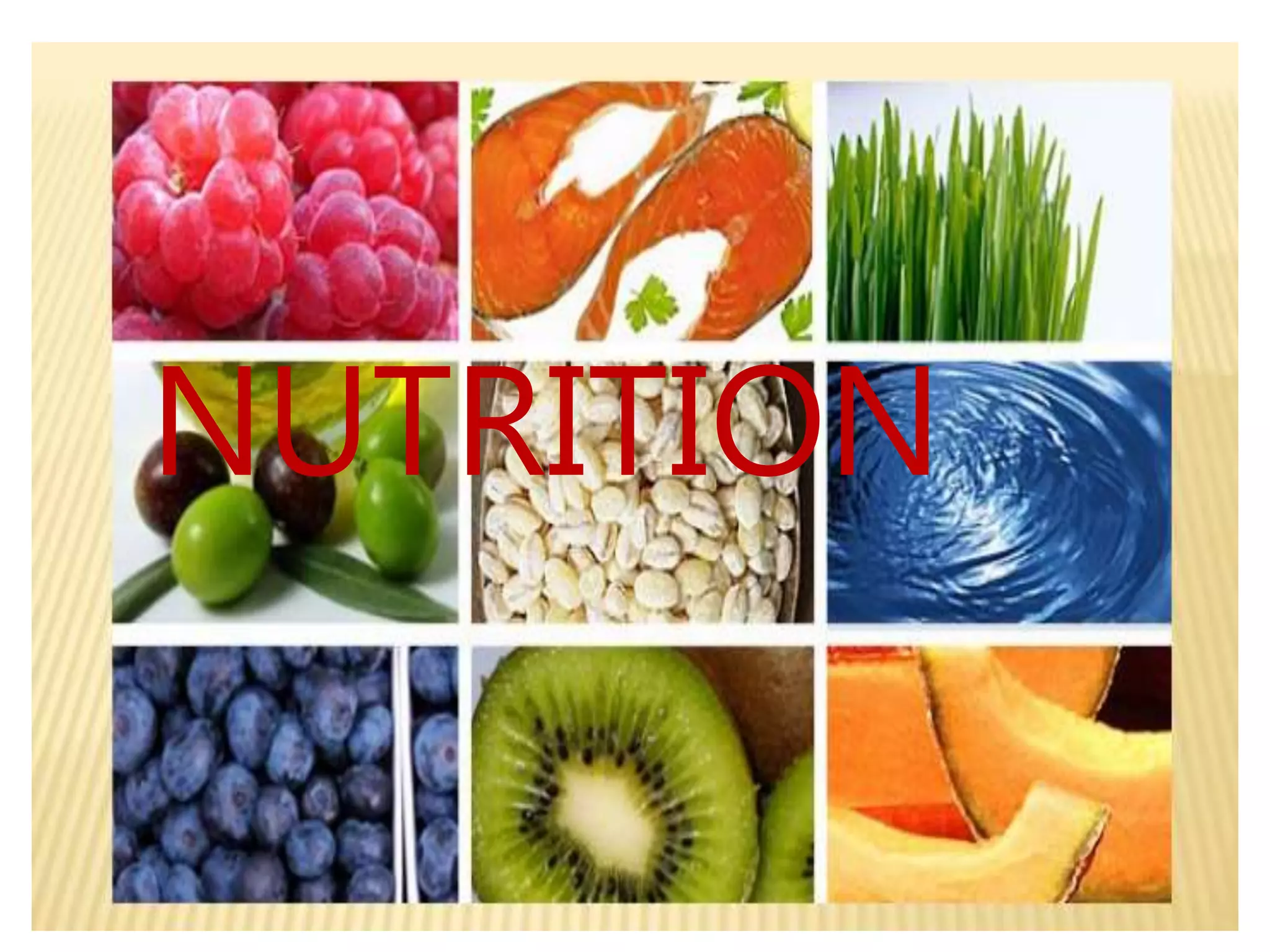 nutrition.pptx