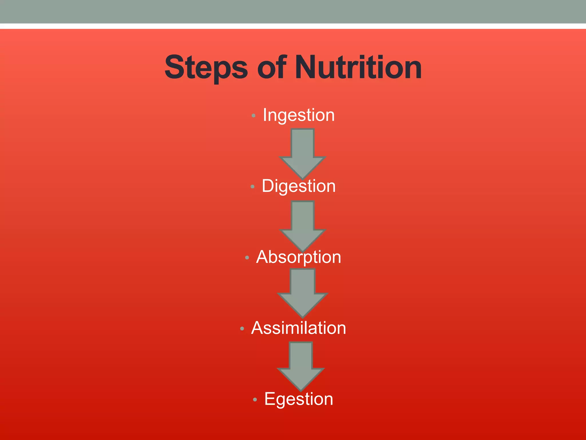 NUTRITION.pptx