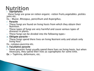 Fungi cell wall composition and nutrition | PPTX