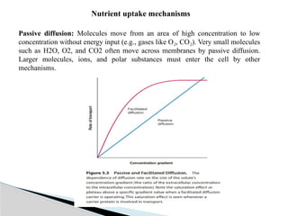 Nutrition in prokaryotic cells (Bacteria).pptx