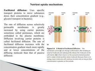 Nutrition in prokaryotic cells (Bacteria).pptx