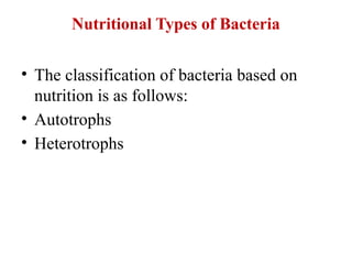 Bacteria classification on basis of Nutrition | PPTX