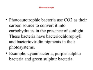 Bacteria classification on basis of Nutrition | PPTX