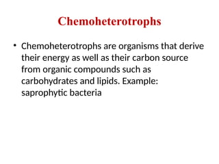 Bacteria classification on basis of Nutrition | PPTX