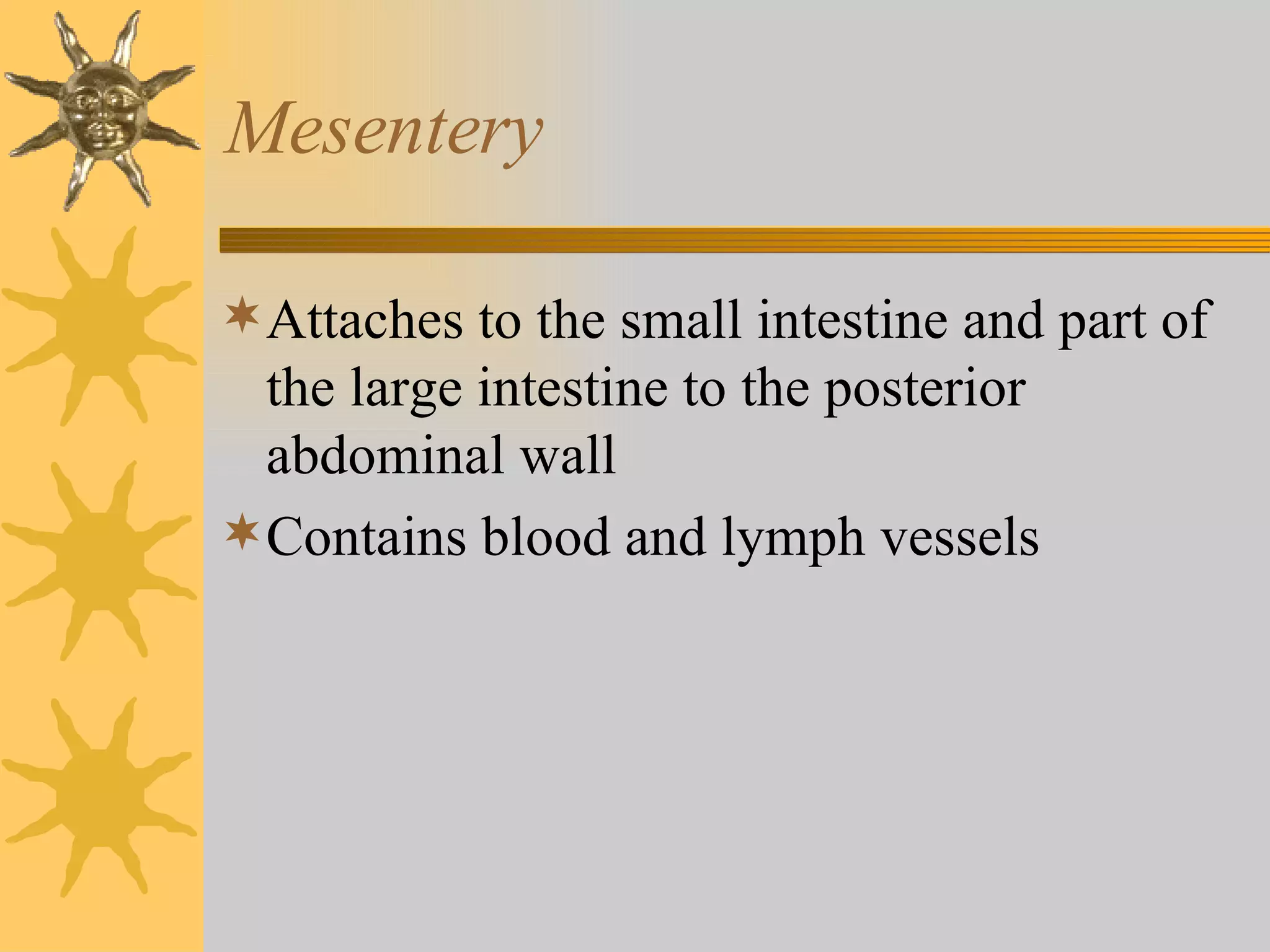 Nutrition: Gastrointestinal System | PPT