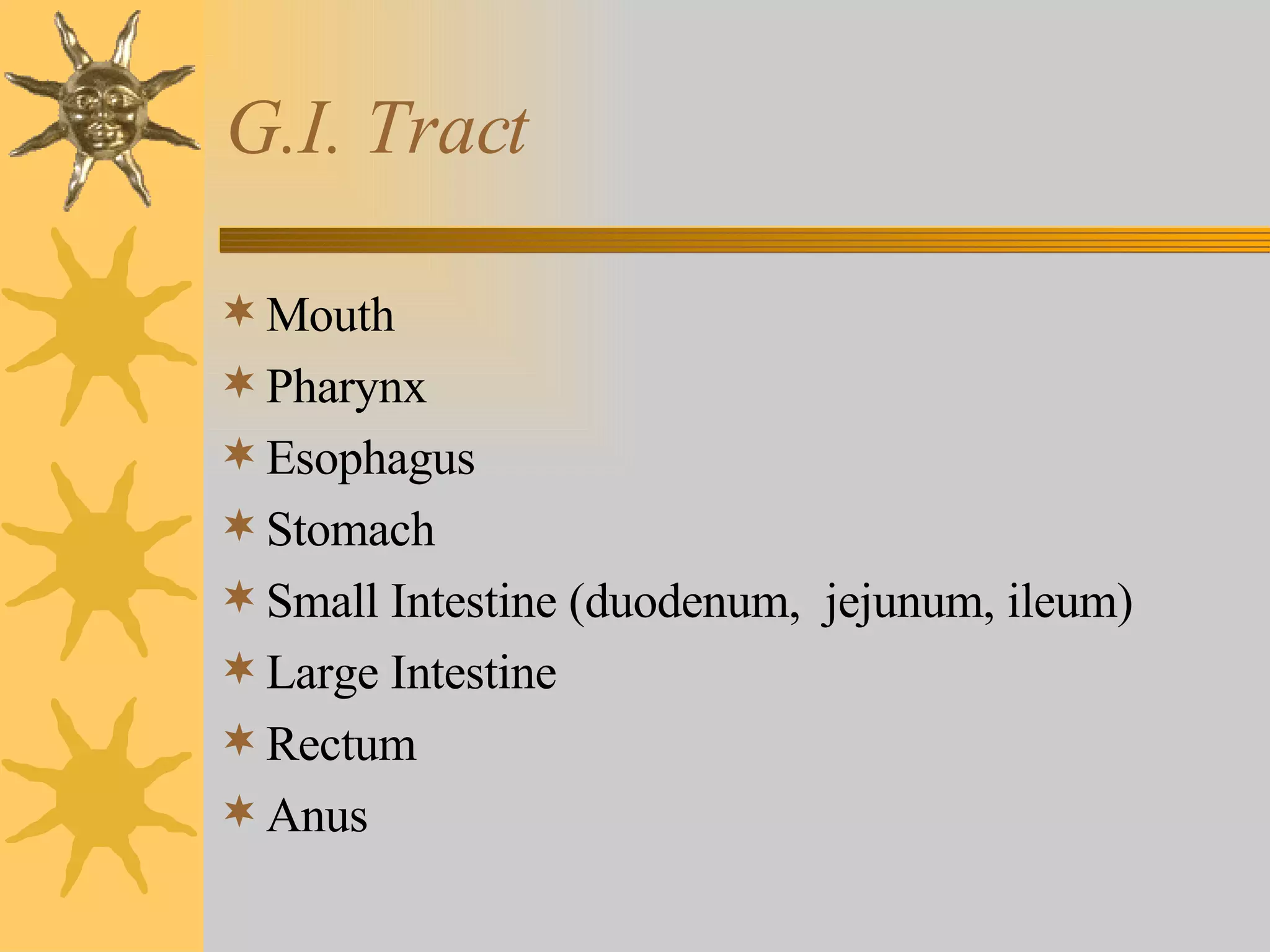 Nutrition: Gastrointestinal System | PPT