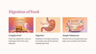 Nutrition-in-Animals.ppt /7th class/ science/ samyans academy | PDF