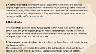 Nutrition-in-plants.pptx genbio reviewer | PPT