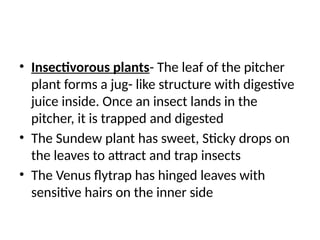 Nutrition-in-Plants.pptx science understand through quality revision ...