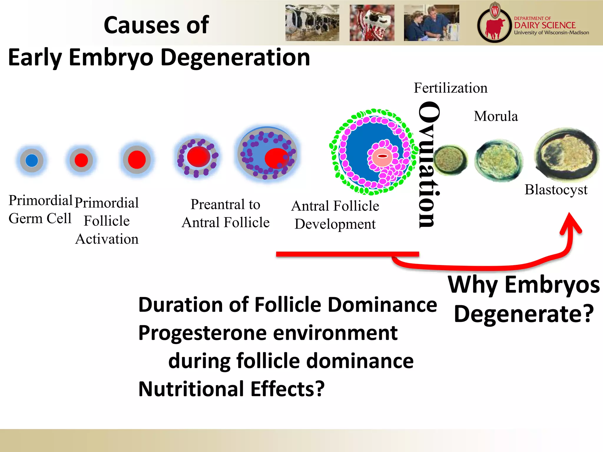 The Role of Nutrition in Reproduction | PPTX