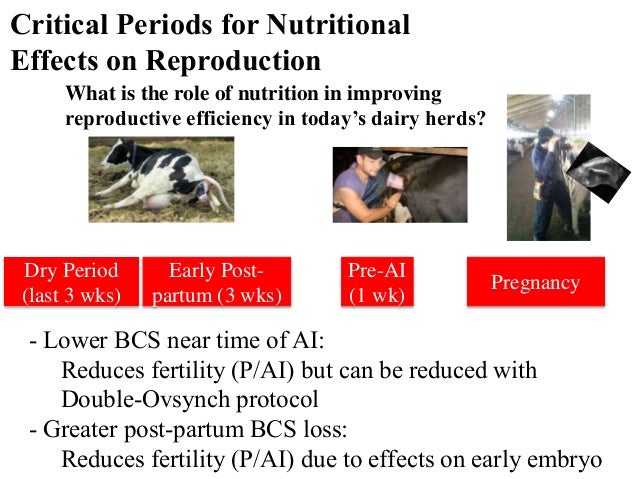 The Role Of Nutrition In Reproduction