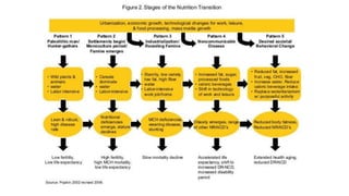 Nutrition transition-presentation-2018-final | PPTX
