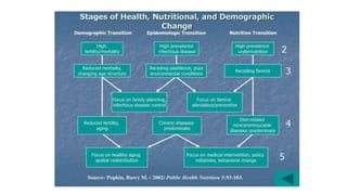 Nutrition transition-presentation-2018-final | PPTX