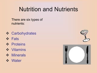 nutrition101.ppt