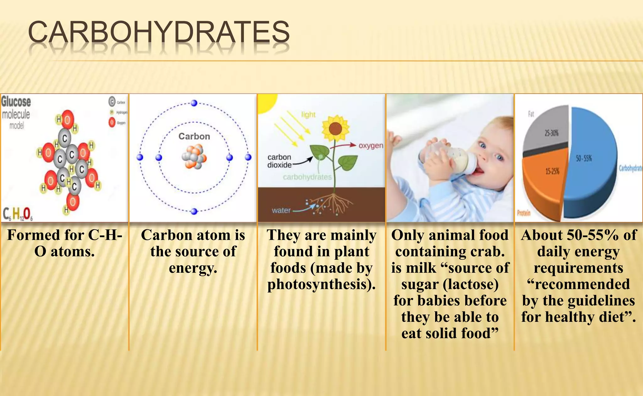 Nutrition and food constituents | PPT