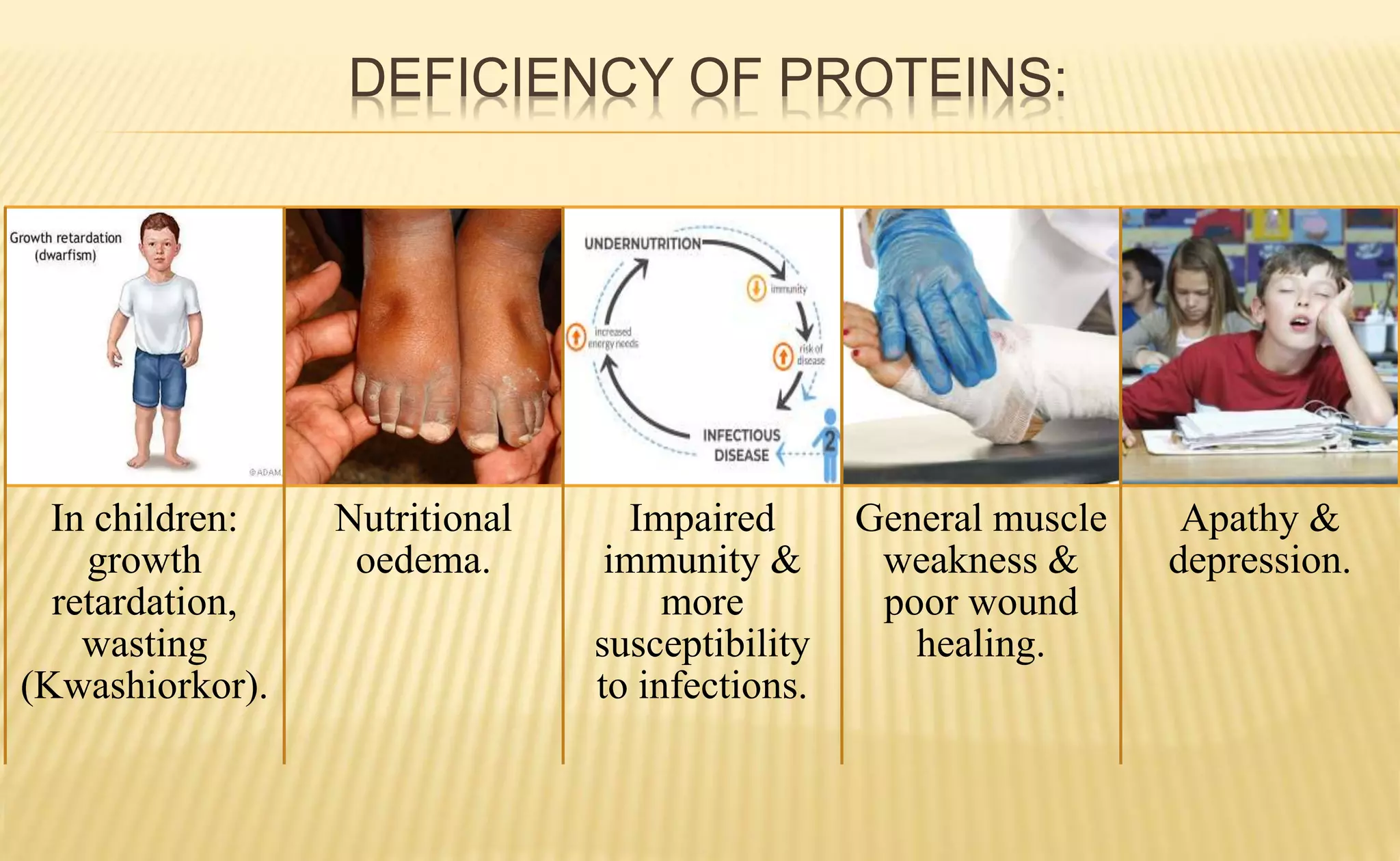 Nutrition and food constituents | PPT