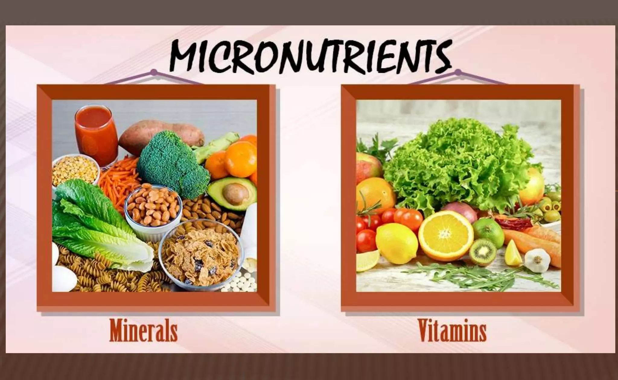 Nutrition and food constituents | PPT
